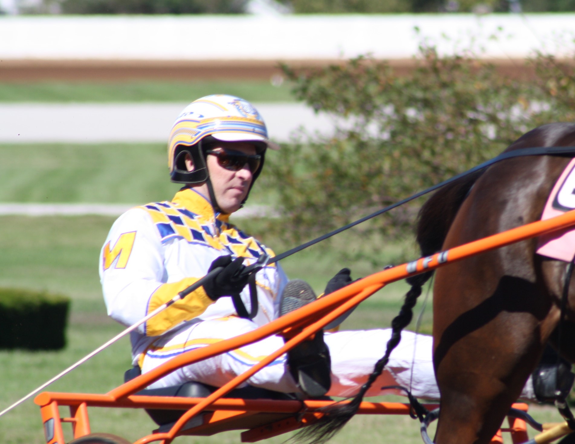 MacDonald Brothers to Battle in the 77th LBJ - Little Brown Jug